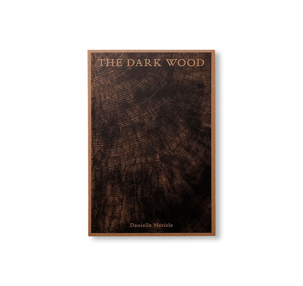 THE DARK WOOD by Danielle Mericle – twelvebooks