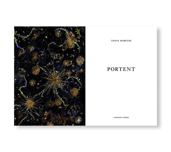 ONE PICTURE BOOK TWO #37: PORTENT by Tanya Marcuse – twelvebooks