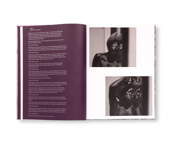 SOMNYAMA NGONYAMA, HAIL THE DARK LIONESS, VOL. II by Zanele Muholi ...